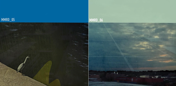 ‘감성 부캐의 새 물결’…유미, 프로젝트 MMRD로 매달 독창적 인디앨범 선보인다